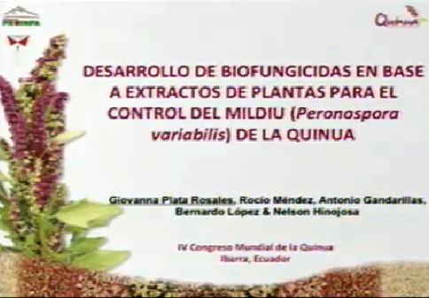 Ing. Giovanna Plata, Fundación PROINPA, Bolivia. Desarrollo de ...