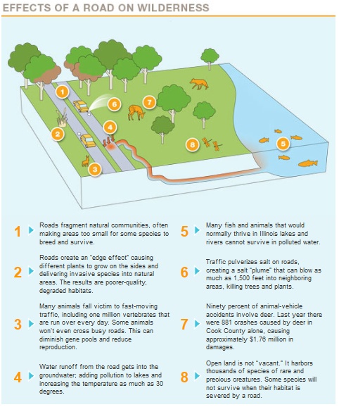Geografika Nusantara: Road Construction and Kerinci Seblat National ...