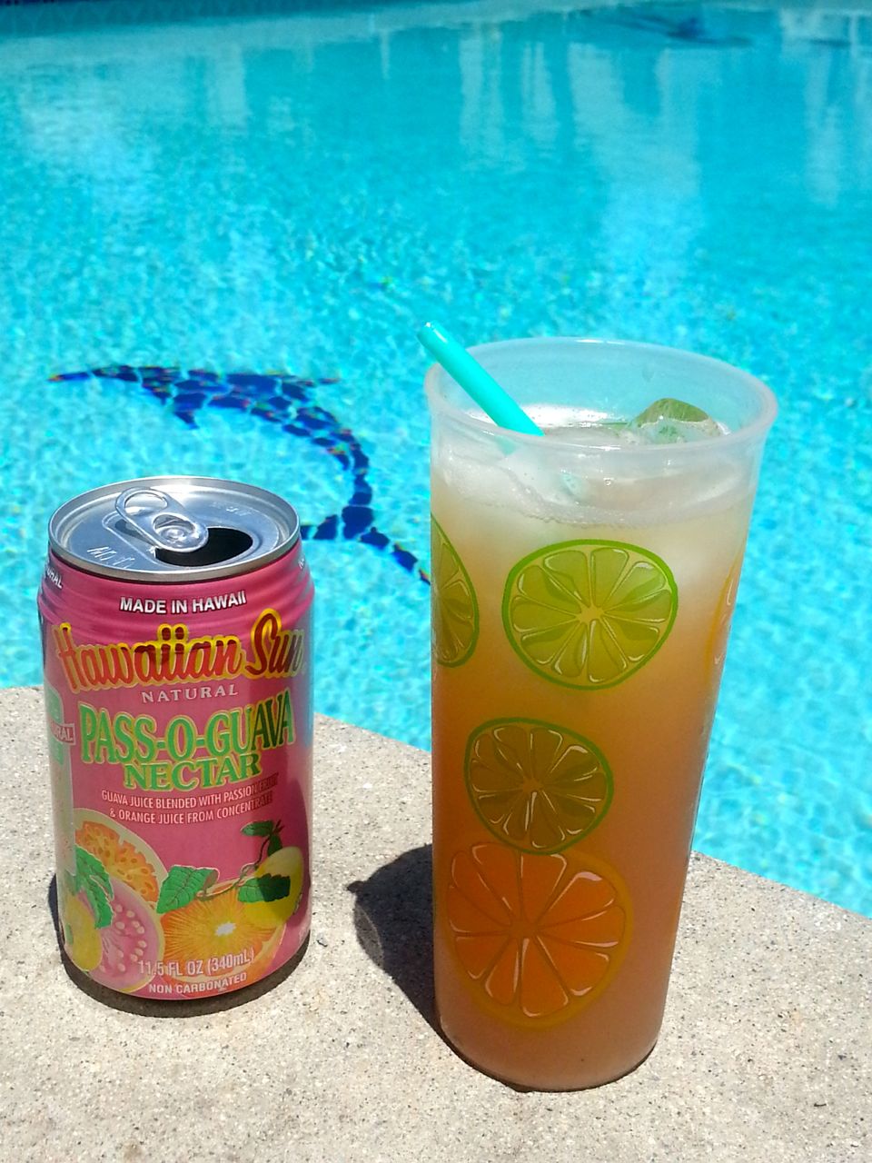 Pog Juice Recipe – Besto Blog