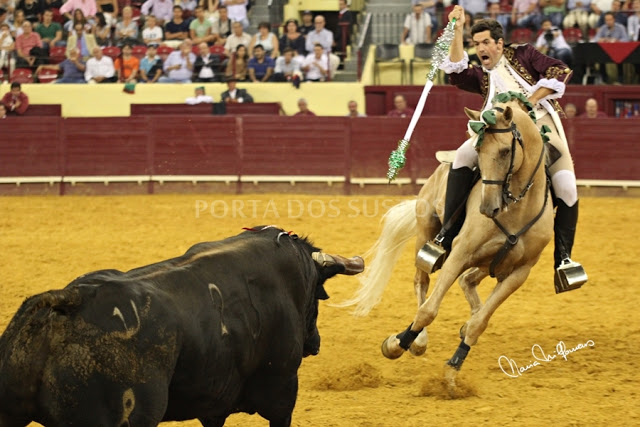 Farpas Blogue: 2016: ano de evolução e de consagração de Duarte Pinto