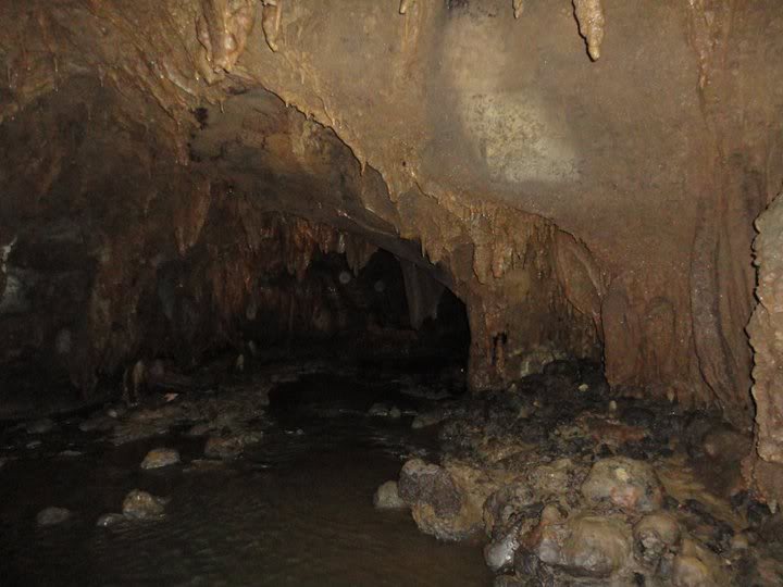 Meet the X-plorers: Bukidnon: Manolo Fortich: A Must to Do, See and Visit