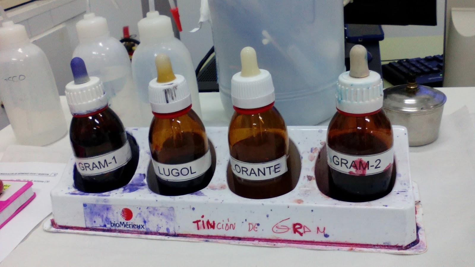 MICROBIOLOGÍA: octubre 2015