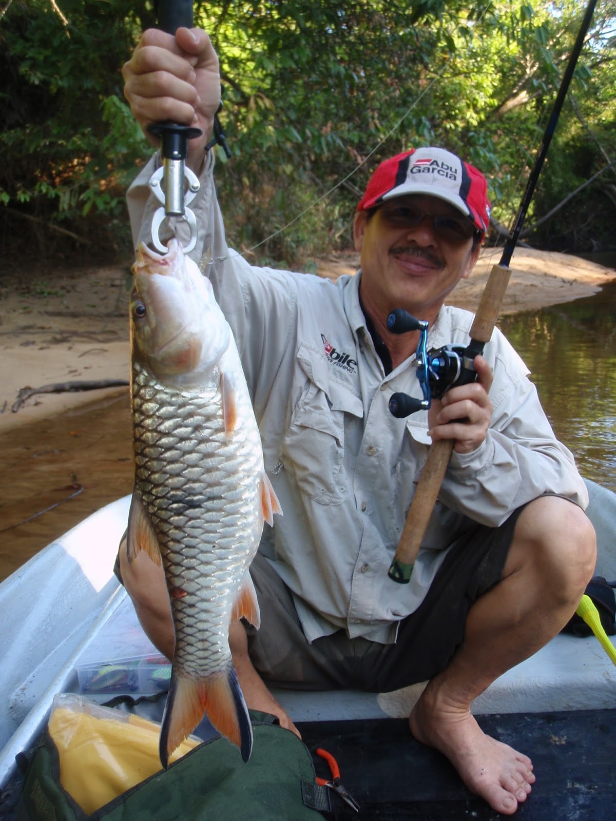 Rainforest River Fishing: Malaysian rainforest jungle fishing