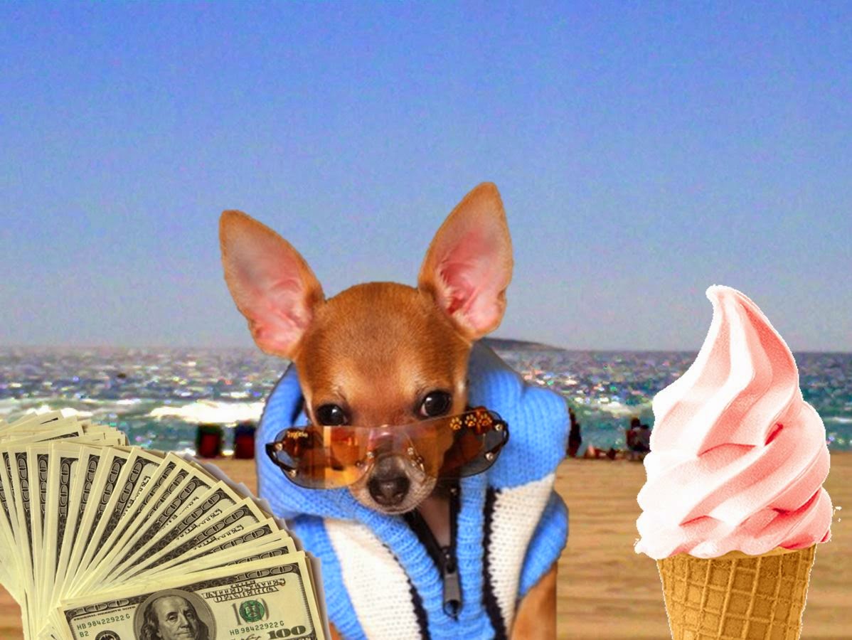 Bloganimal: Perros playeros