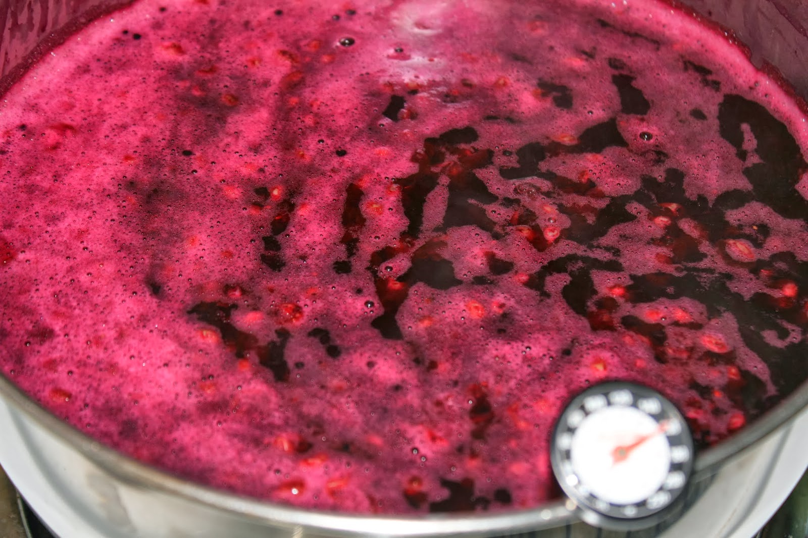 the common milkweed: Pokeweed Berry Dyeing