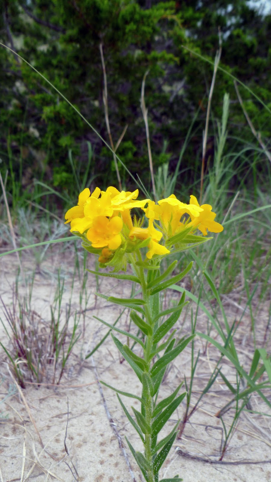 Outdoor Adventurers: Grand Bend Adventure Road Trip