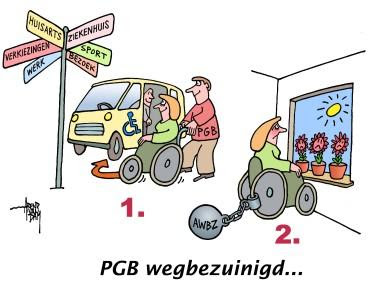 Platform Verontruste Ouders: Cartoon PGB