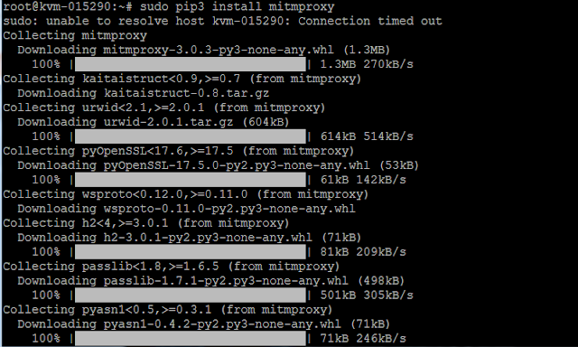 How to install & launch mitmproxy?