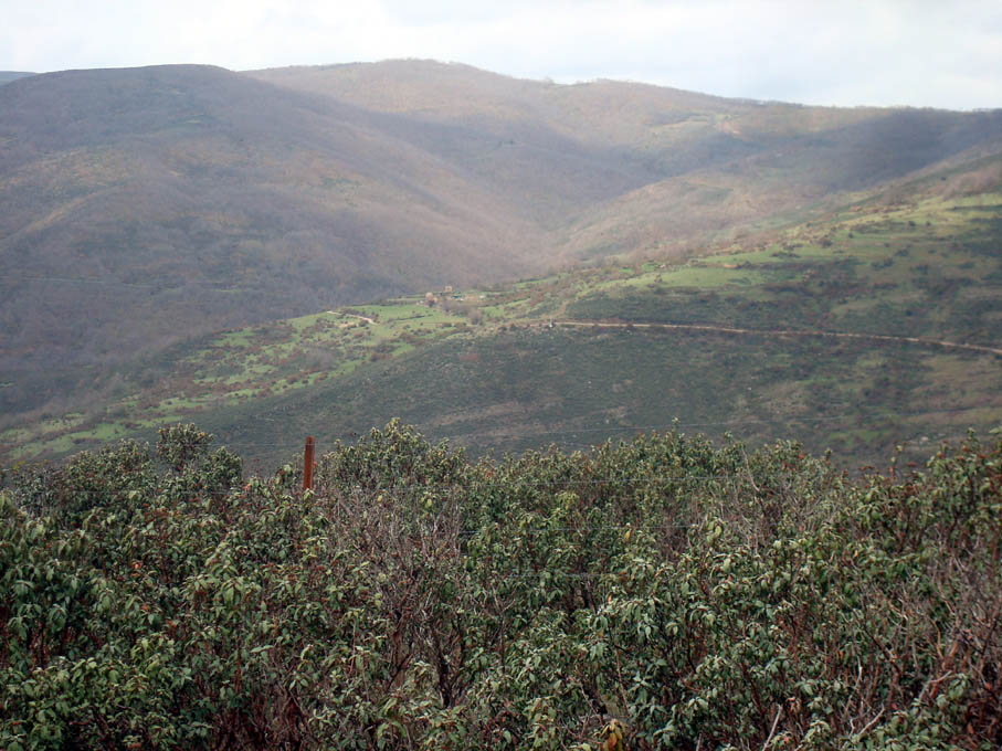 MONTES: 95. CERRO DEL COLLADO O SANTA CRUZ, 1.189 m. (10k 300+)