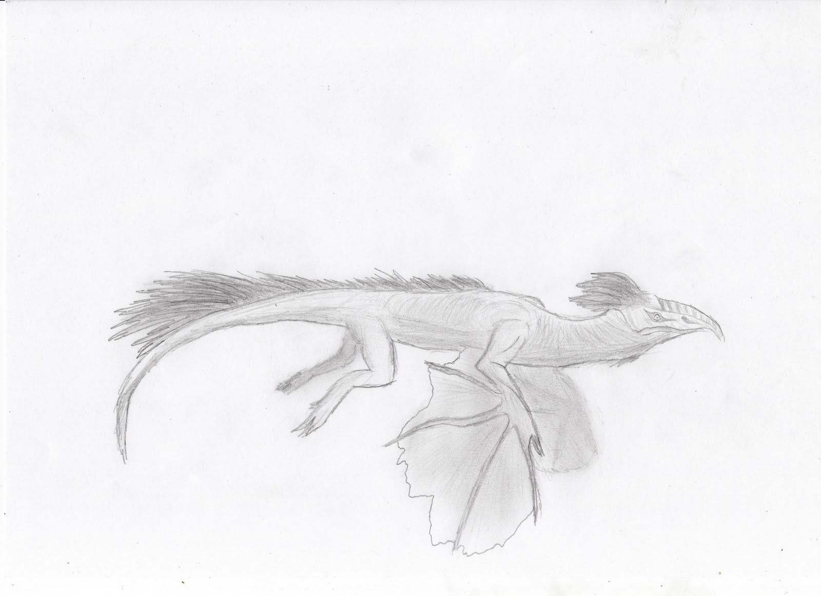 Games Development and Other Wonderful Things