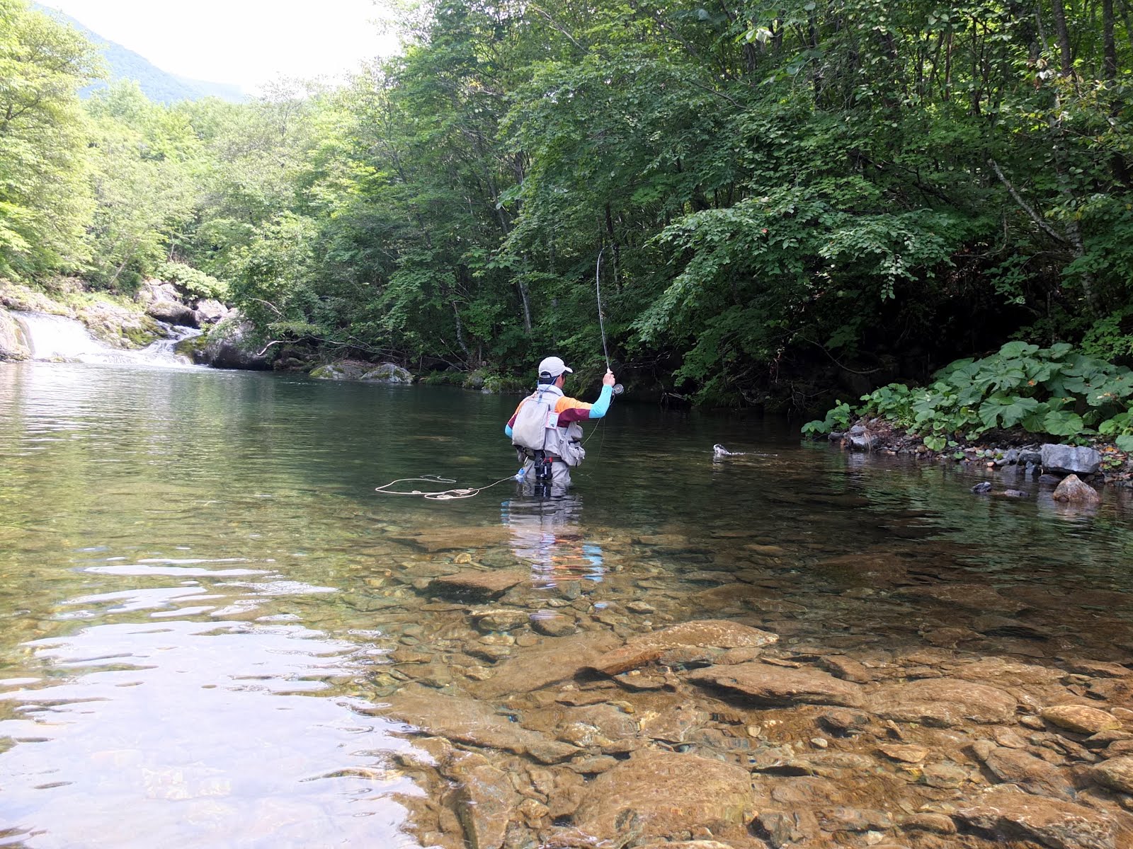 ncaflyfish: FlyFish 2