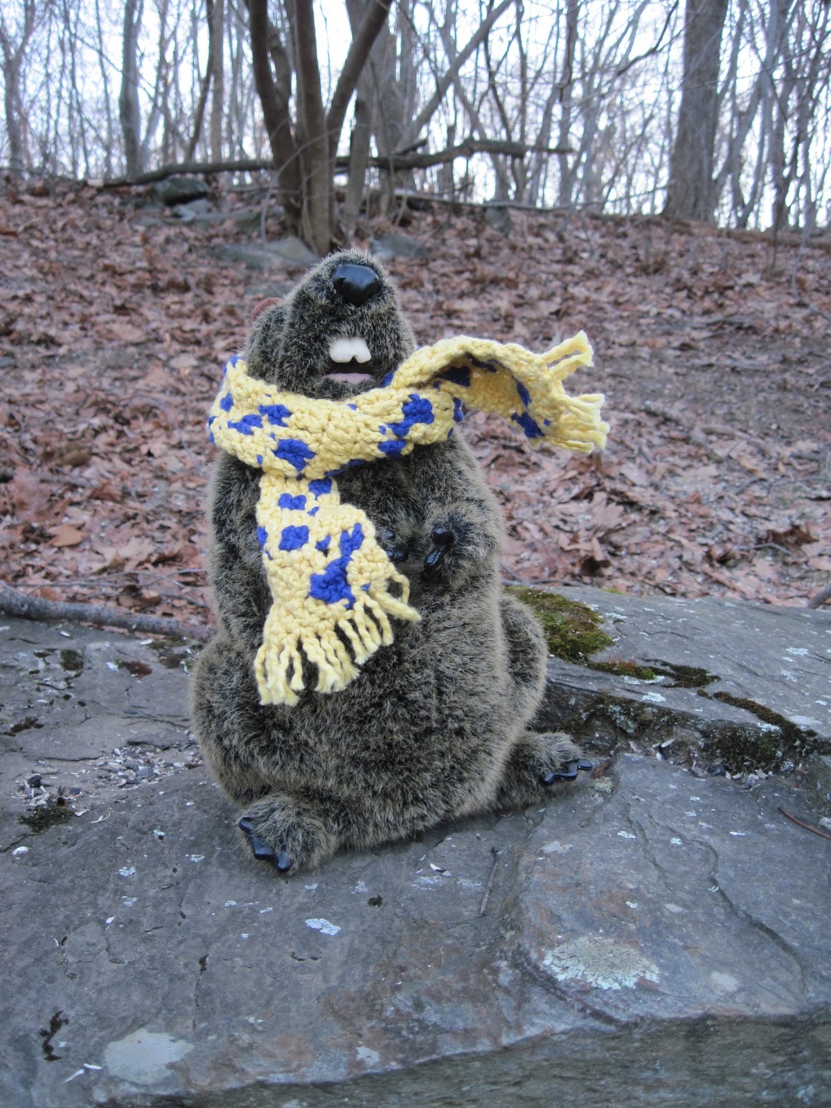 Susanna Leonard Hill: IT'S GROUNDHOG DAY!!! - Early Spring Or Six More ...