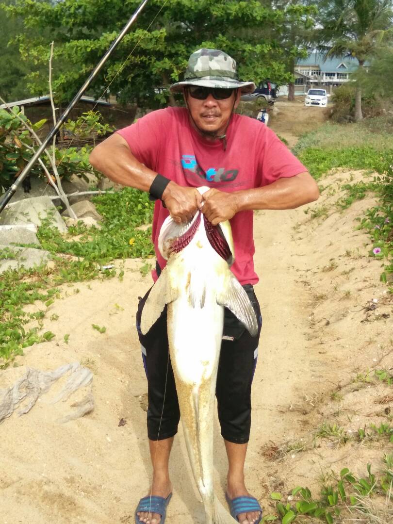 Ikan Haruan Tasik