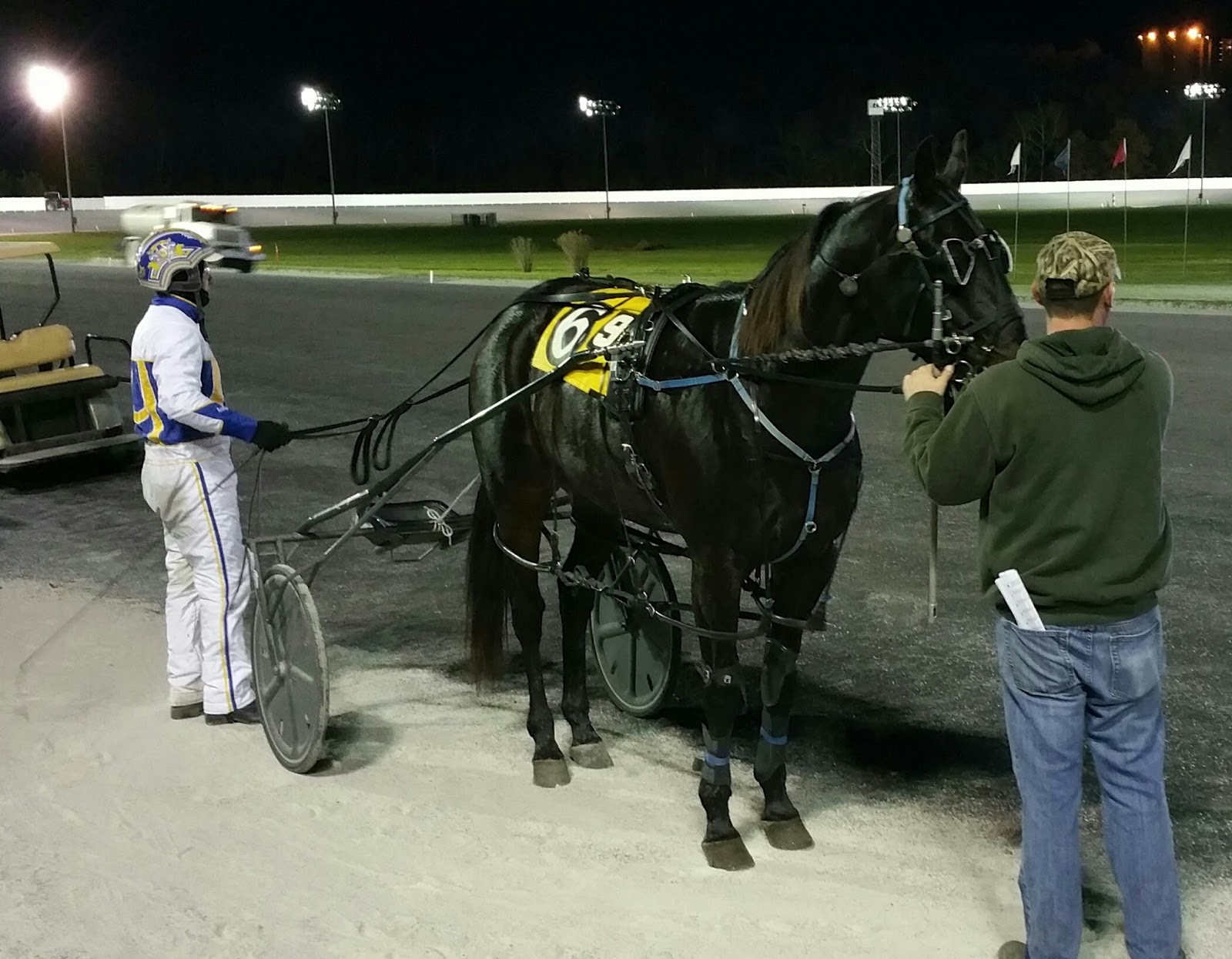 Bardsley Equine Art: Rosecroft Raceway 2016