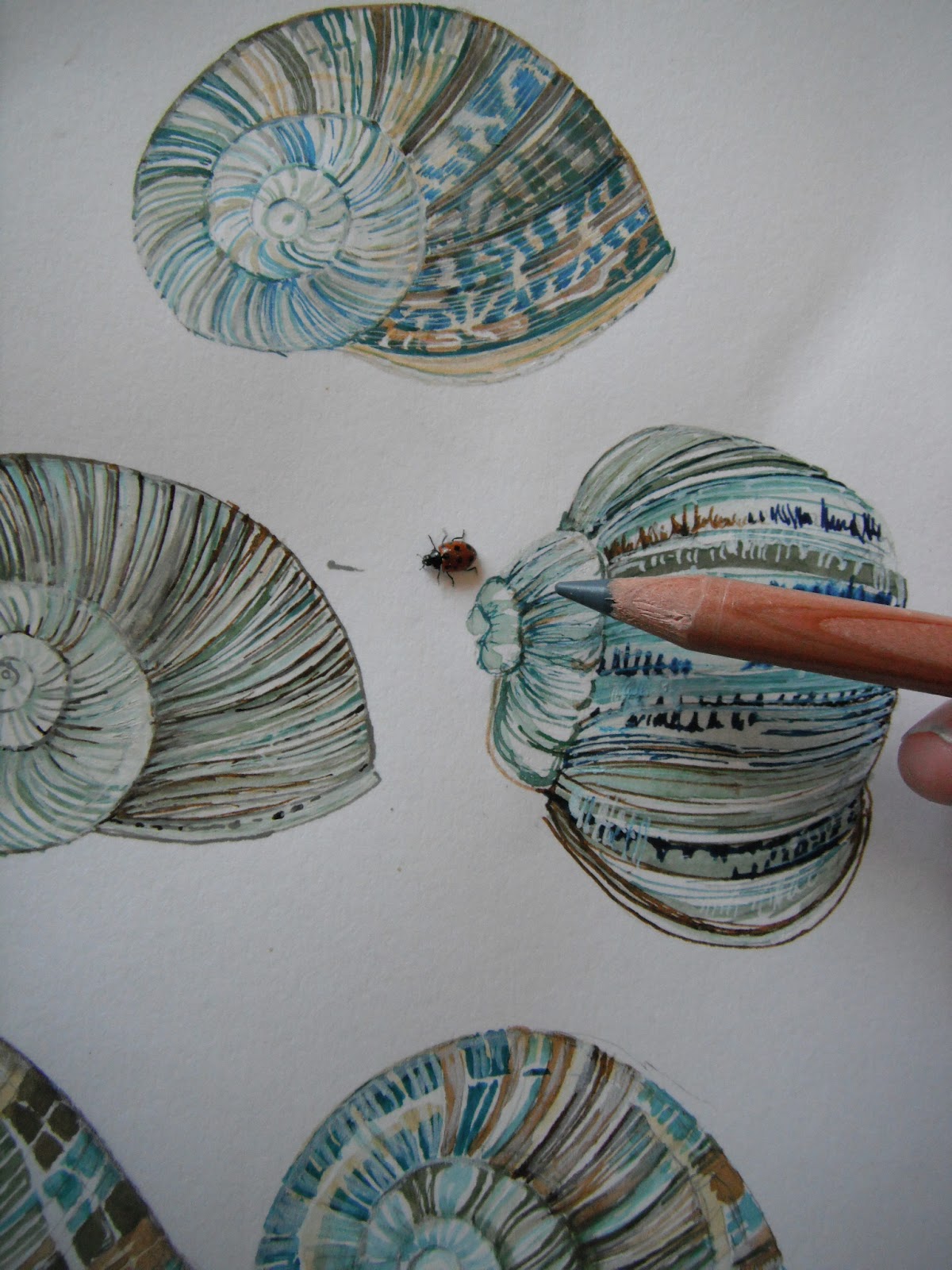 DRAWINGS FROM NATURE: March 2012