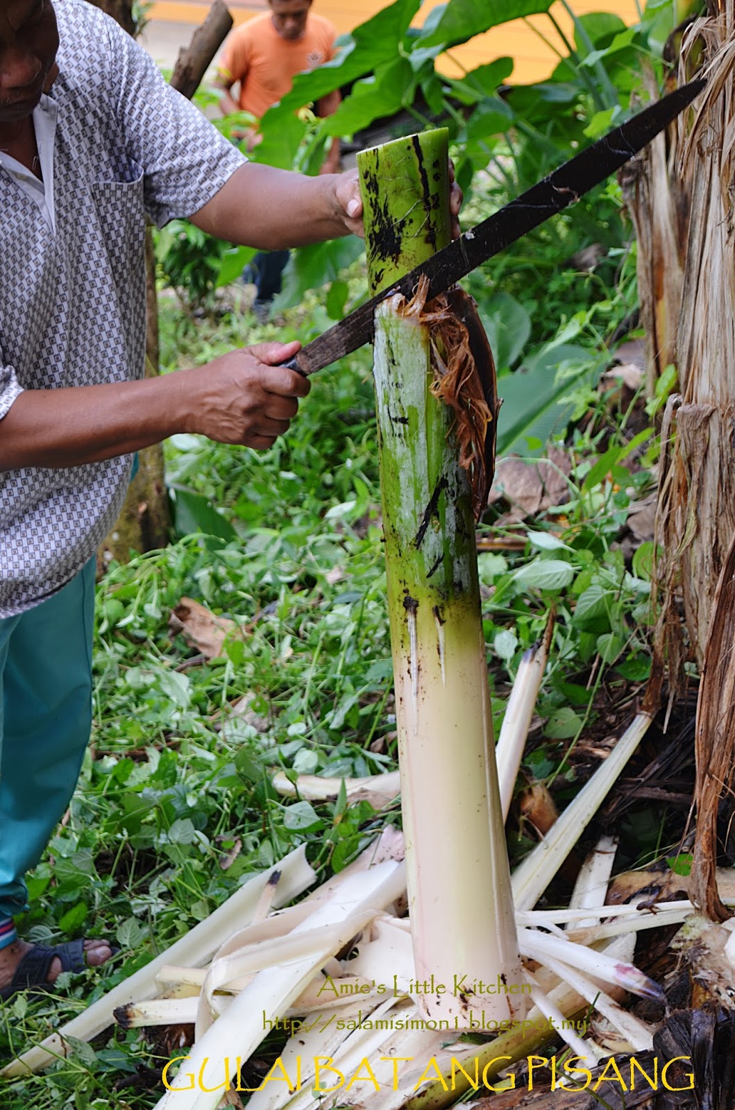 Gulai Batang Pisang - Amie's Little Kitchen