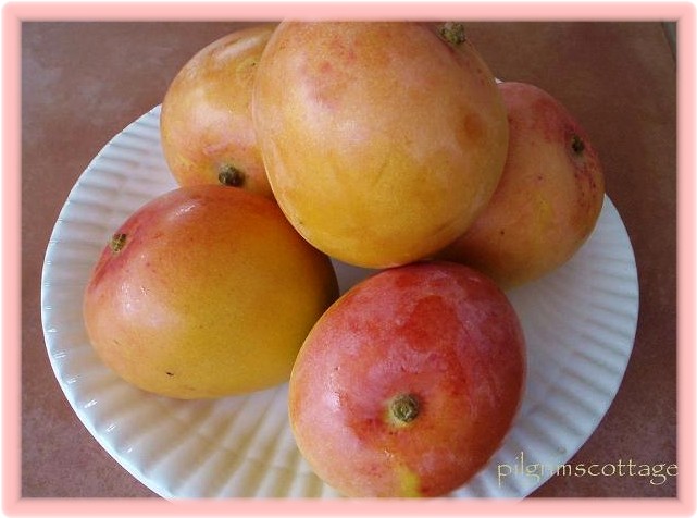 Cottage Life on Pilgrim's Farm: Mango Tango Chutney Dance...