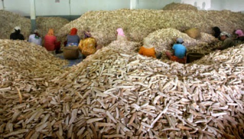 Sugeng Rawuh (Selamat Datang): Makanan Khas (Gunungkidul bagian 4)