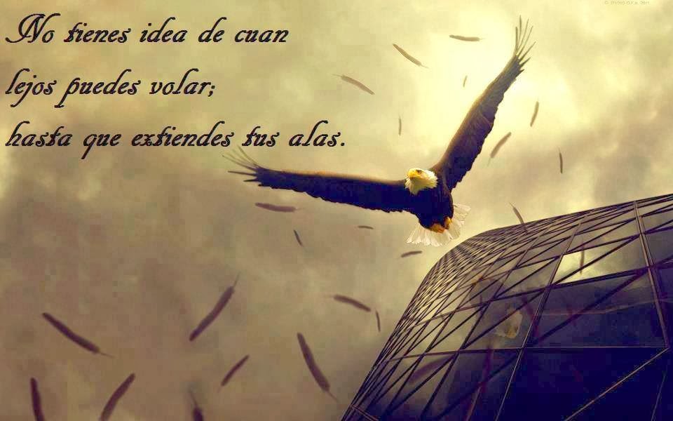 Extiende tus alas ~ Mejores Mensajes