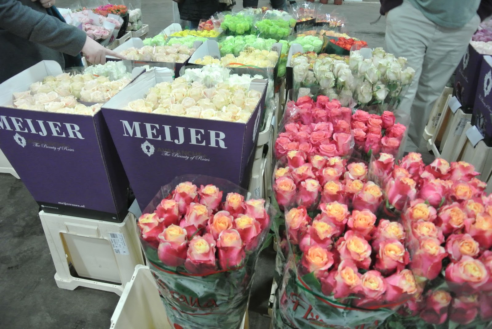 EssWorks: New Covent Garden Flower Market