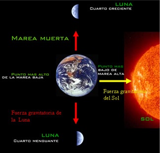 La Hidrosfera: Grupo 2: Las Mareas