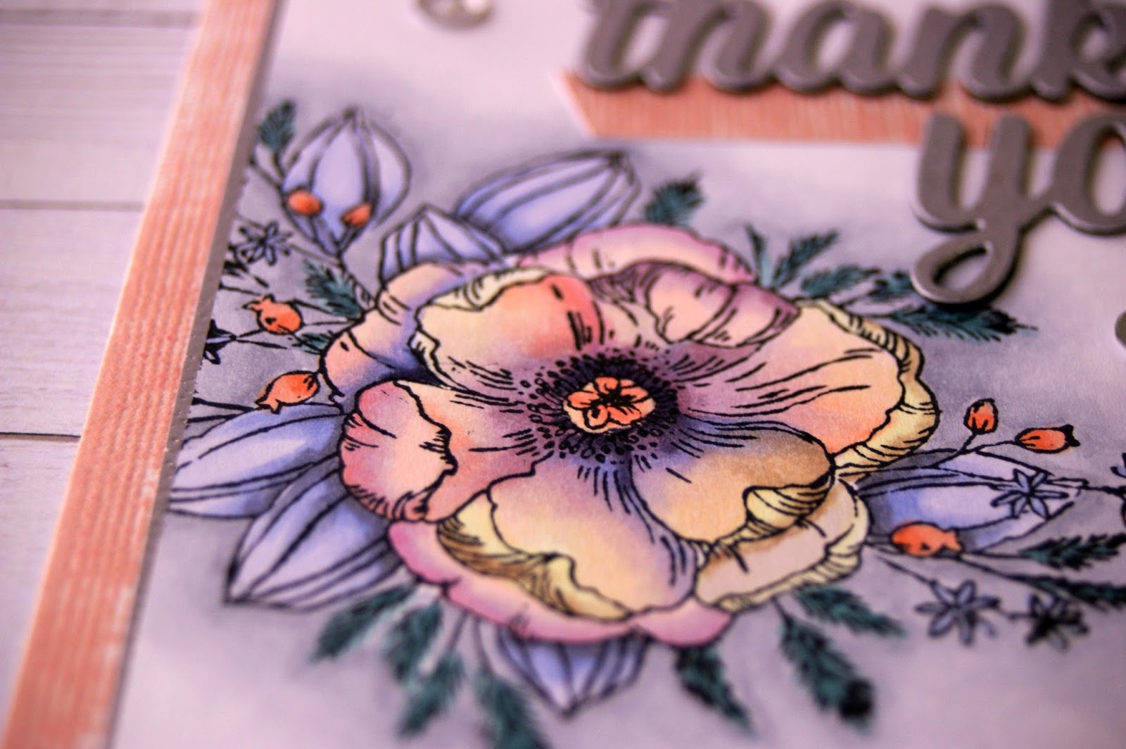 Shop and Crop: Thank you, thank you, thank you