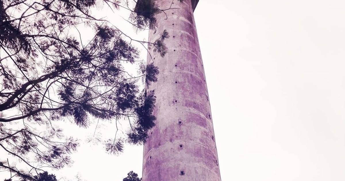 Educational and Entertainment : Captain Dowsan Tower