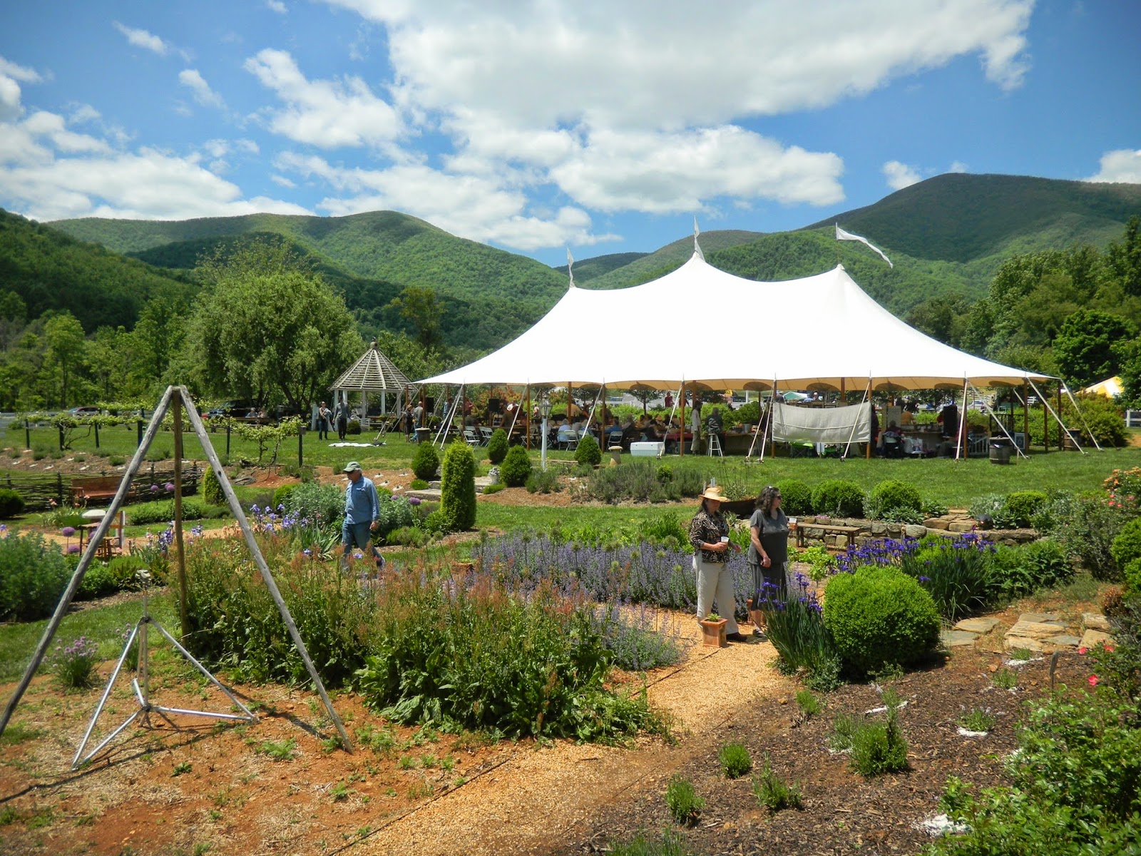 Meg West Oil Paintings: Pharsalia, Tyro, Virginia