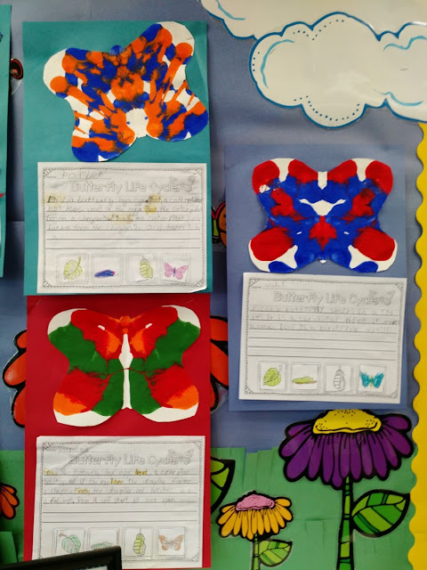 Butterfly Week - Teacher by the Beach