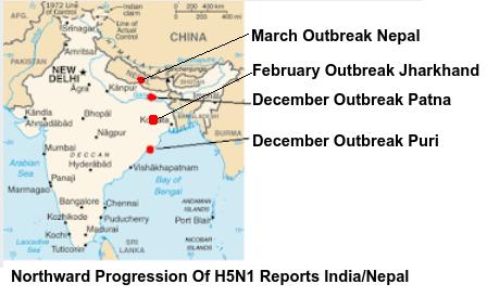Avian Flu Diary: WHO SEARO Statement On Nepal H5N1 Case