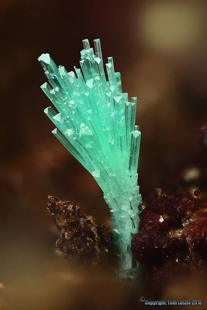 Splendid Olivenite Crystals - Geology In