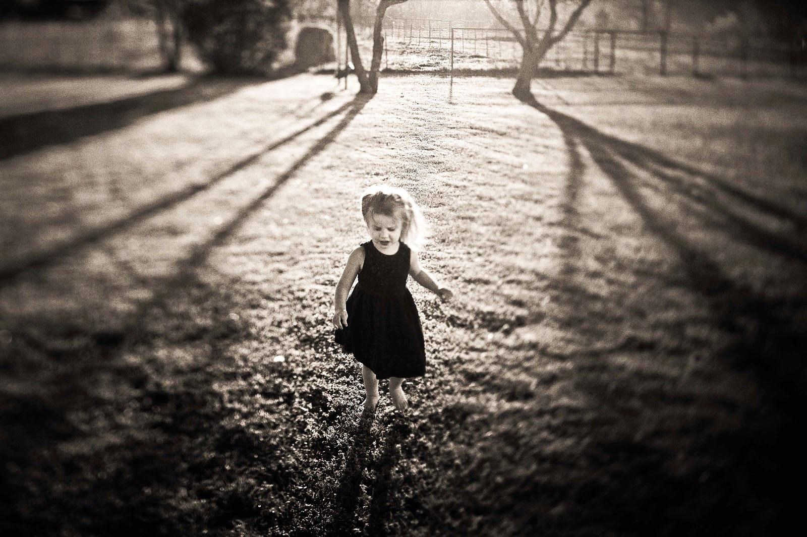 The Play of Light and Shadows