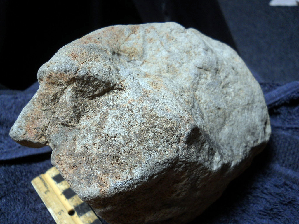 Archaeology of Portable Rock Art: Sculpted Neanderthal head from ...