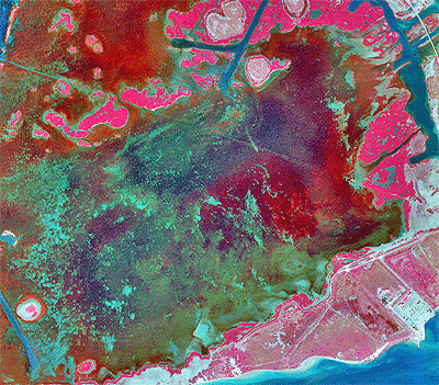 Matt Mudano's Map Blog: Infrared Aerial photo