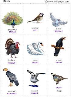 FLASHCARD INDONESIA: Flash Card Hewan (burung)