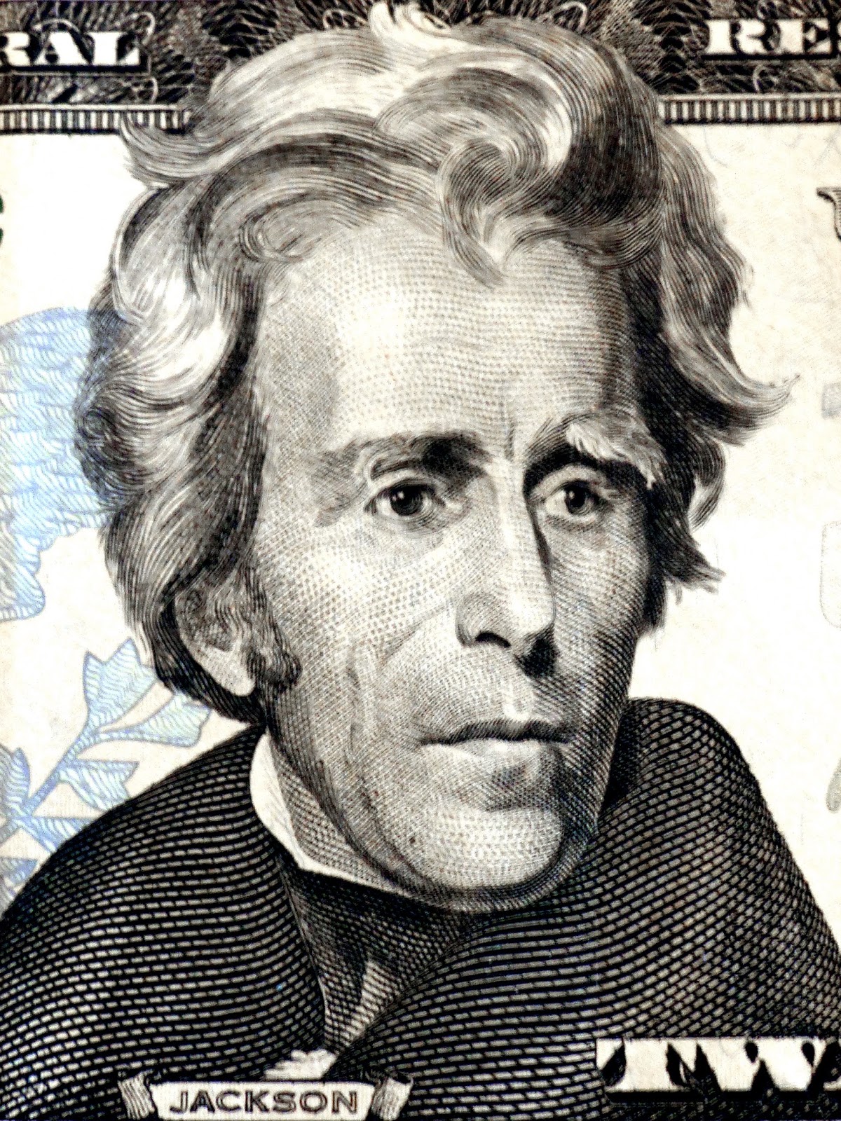 The Portrait Gallery: Andrew Jackson