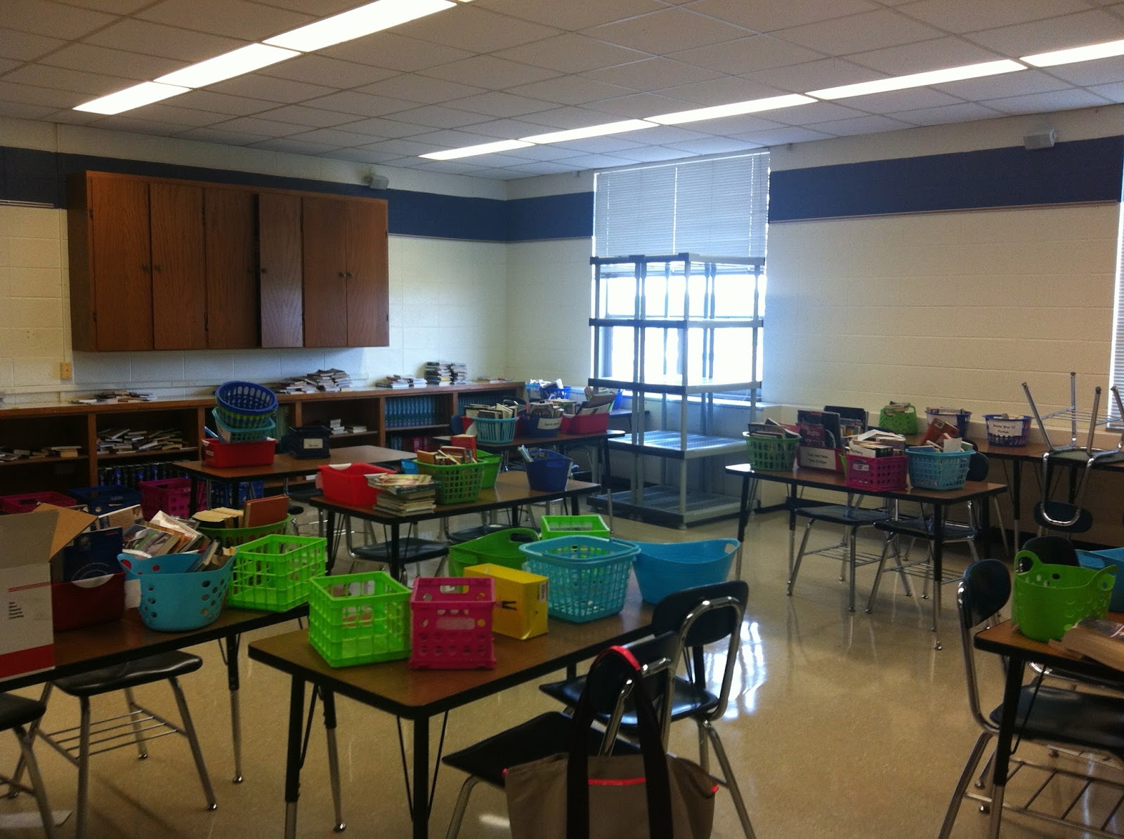 Classroom Library Activity and Pictures – The Literacy Effect