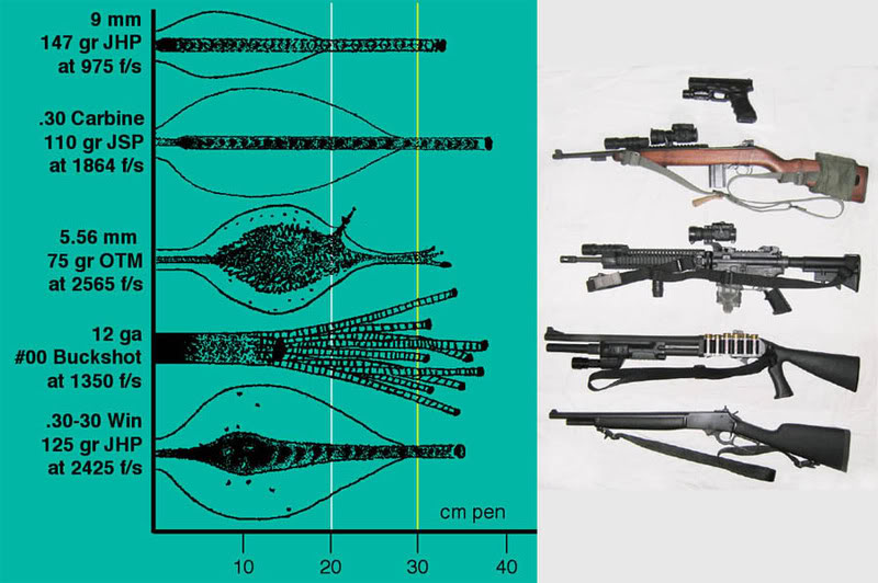 Resolute Response: The AR15 for Home Defense?