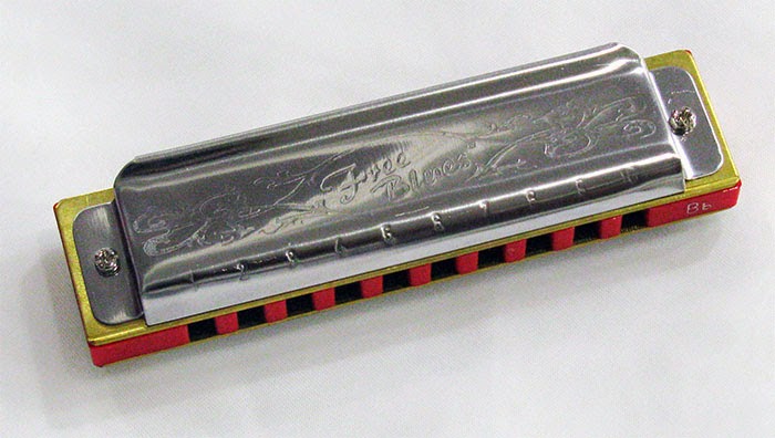 Instituto Musical Danilo Menezes: GAITA: História