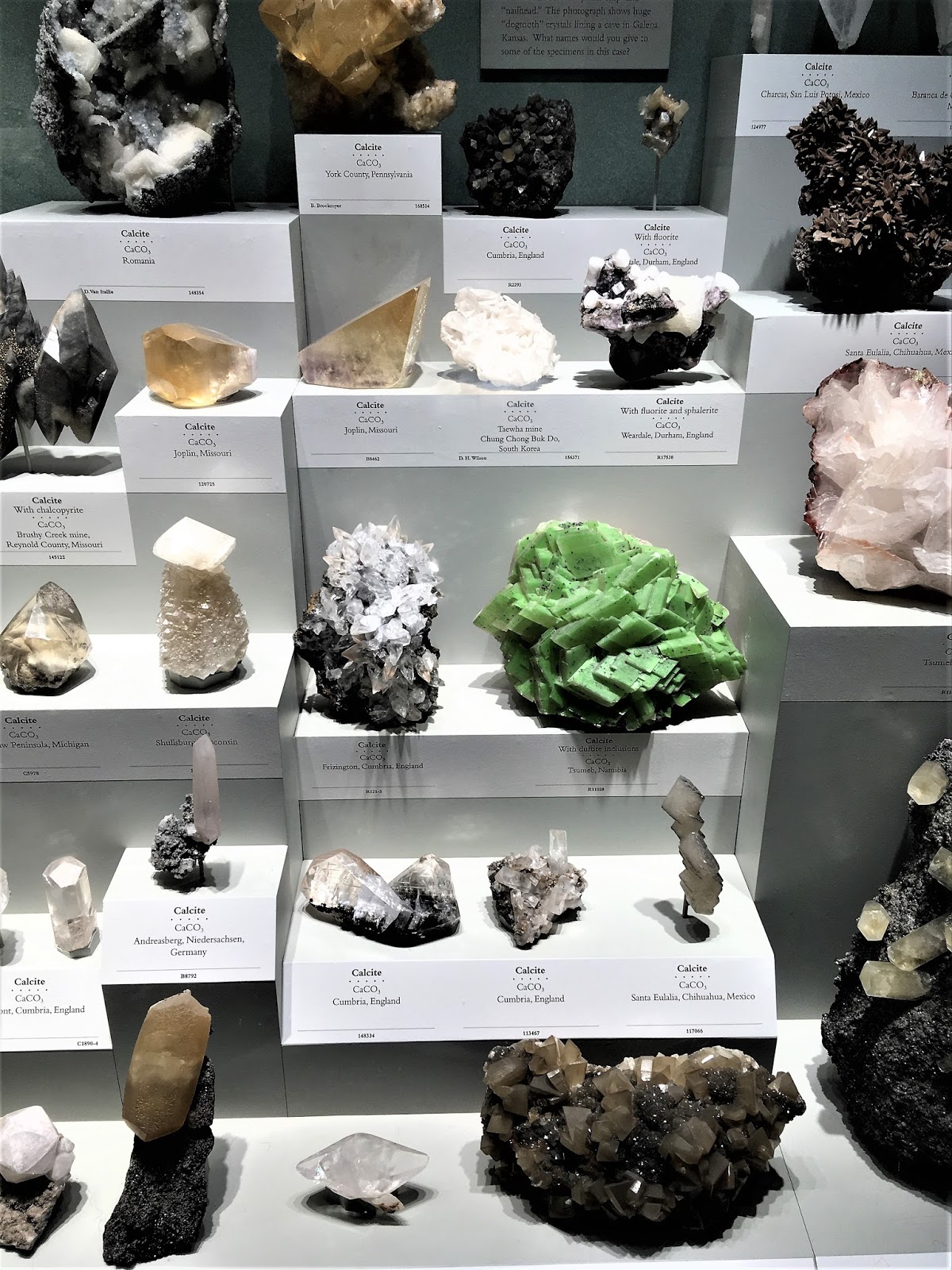 The 10 Year Plan: Museums: Smithsonian Institution National Museum of ...