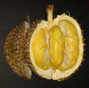 Make It Davao: Durian - King of Fruits