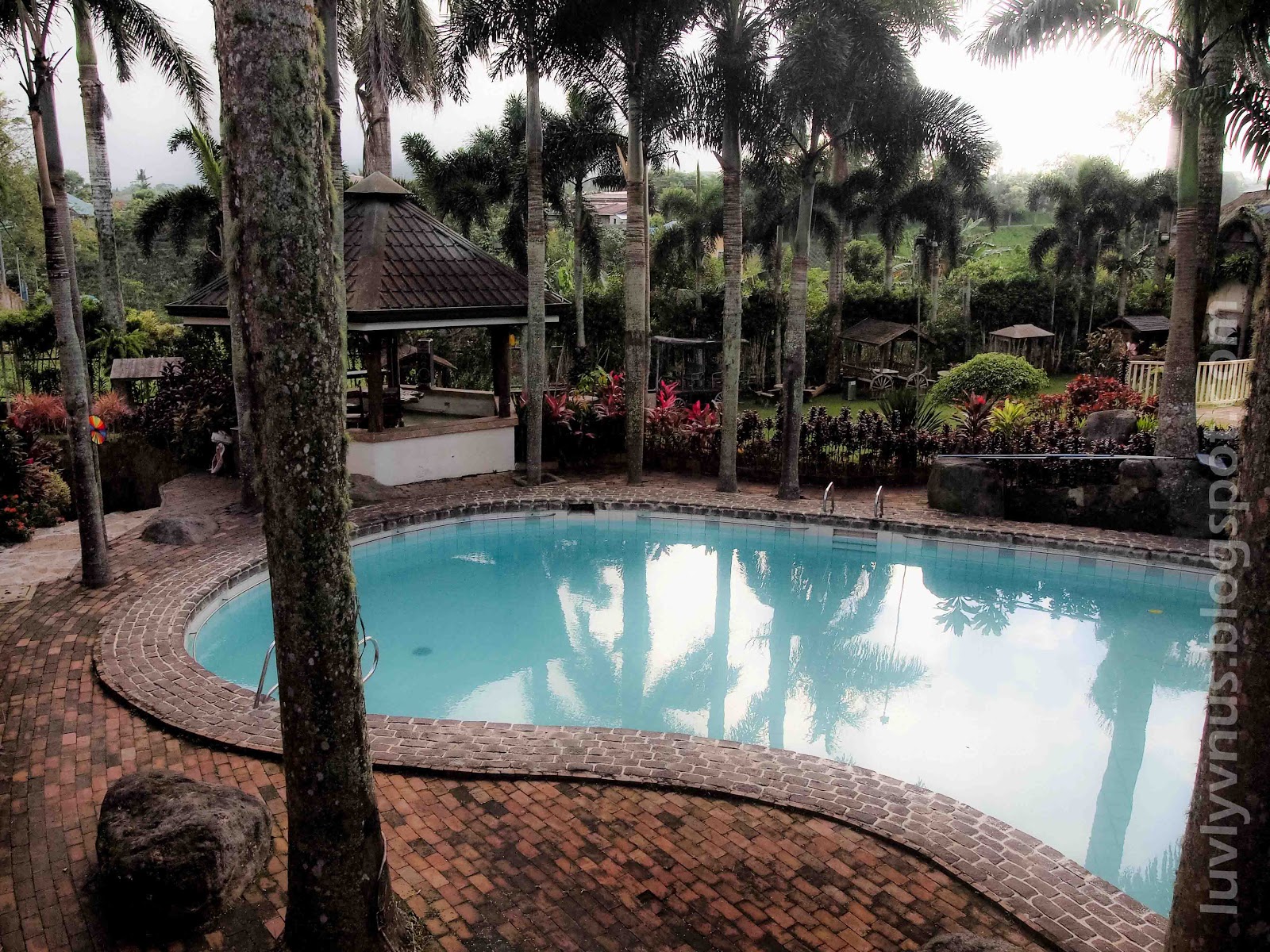 Tagaytay Haven Hotel I (Ulat) | My Wanderland