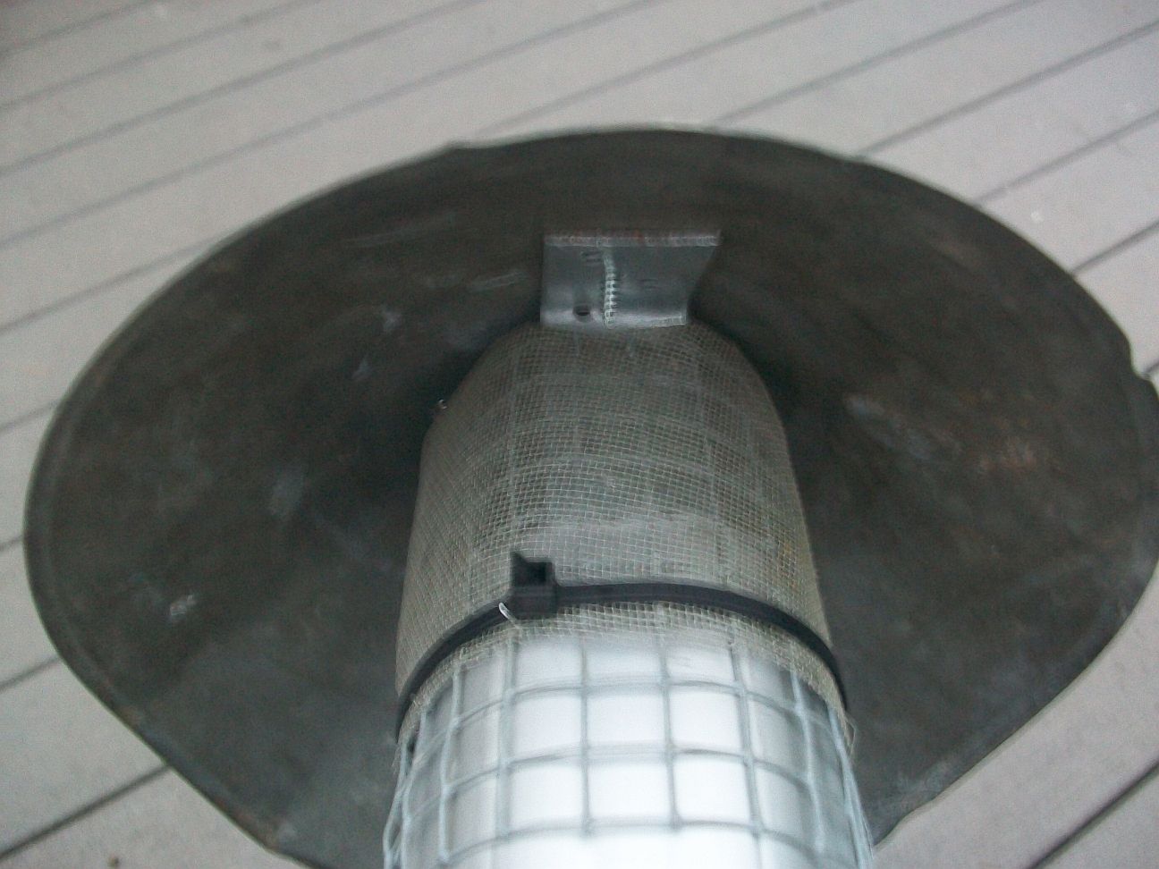 ~Wolfish Words~: Building the root cellar