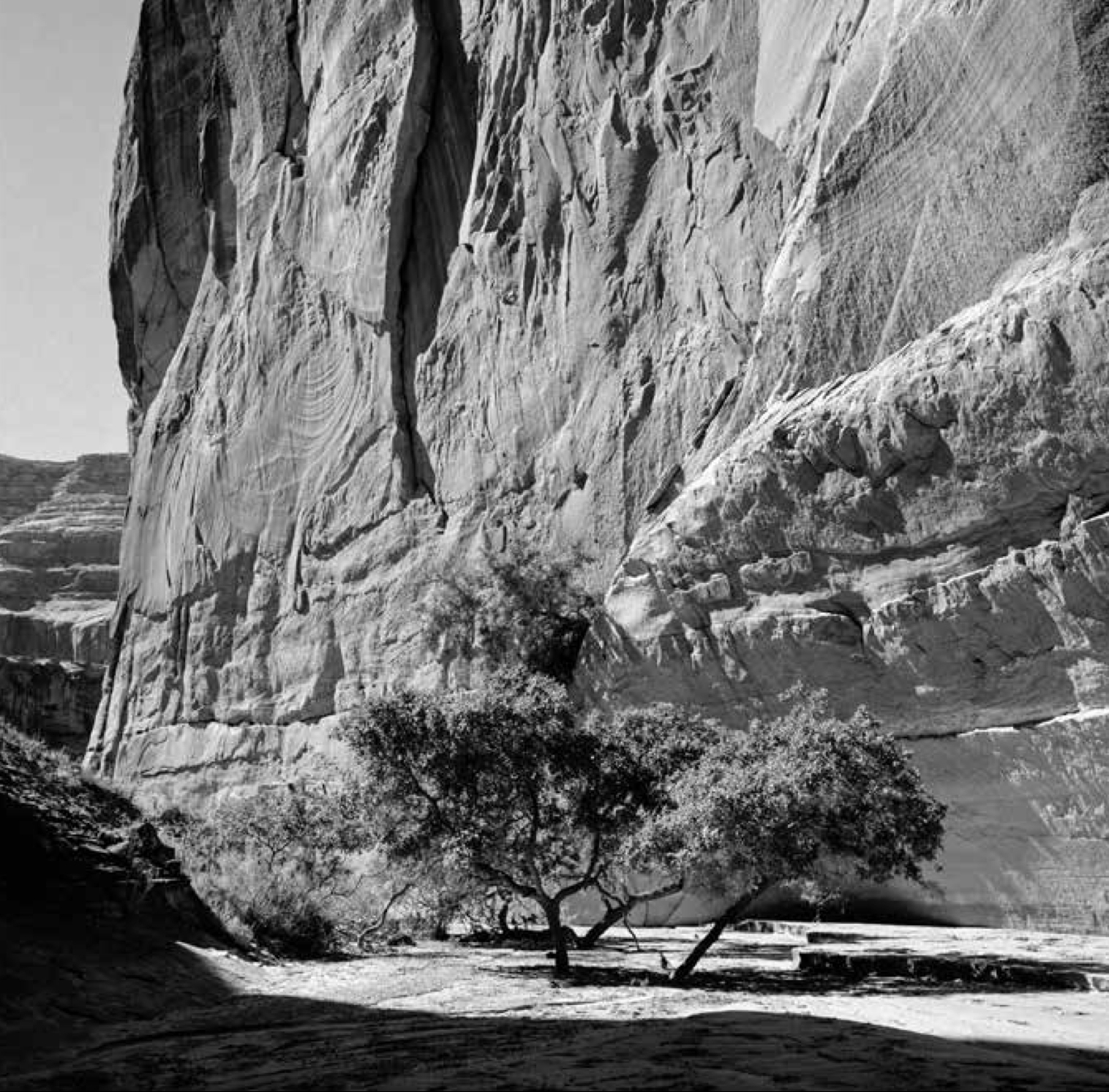 Obscure Landscape Photographers: Tad Nichols (1911-2000)