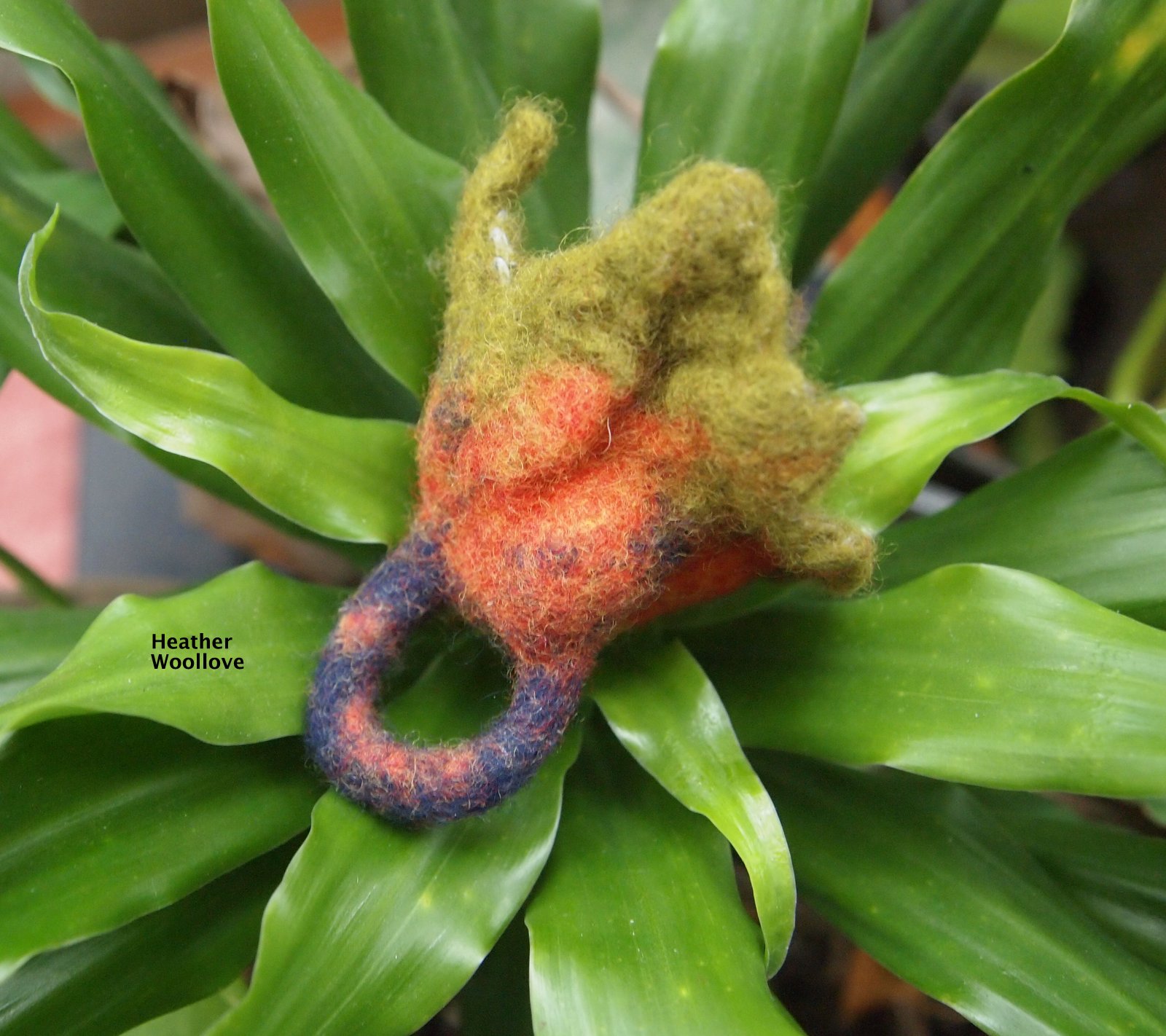 Wool love-functional fiber art: Portugal- Felt Flower Rings