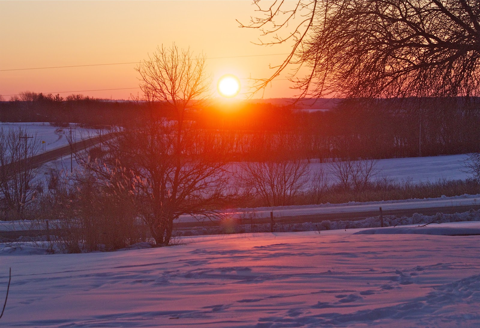 Squash Blossom Farm: Wordless Wednesday: Vernal Equinox Sunrise