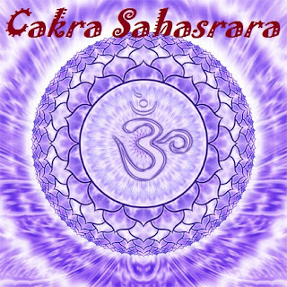 Kebenaran Islam: 7 Cakra Utama Pada Manusia Untuk Membangkitkan Potensi ...