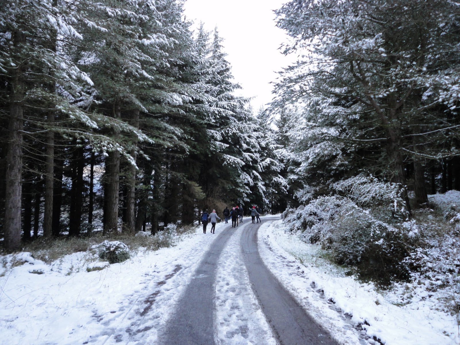 TURISTANDO POR AE !!!: IRLANDA - Muita neve em Ticknock Forest