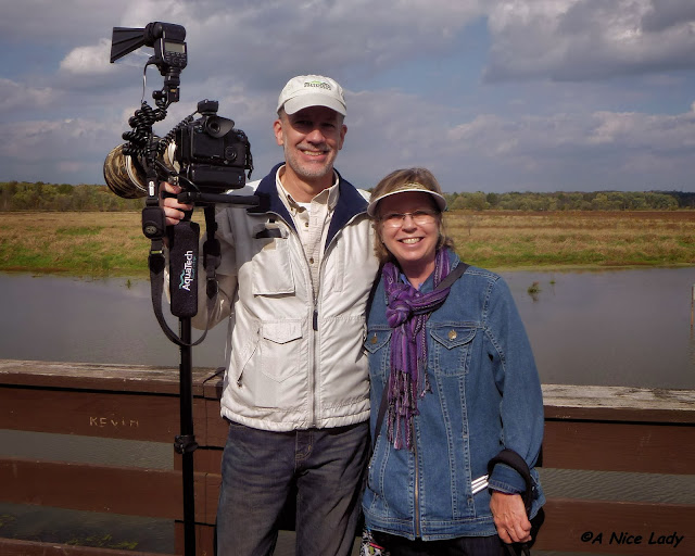 Birds from Behind : 11/01/2013 - 12/01/2013