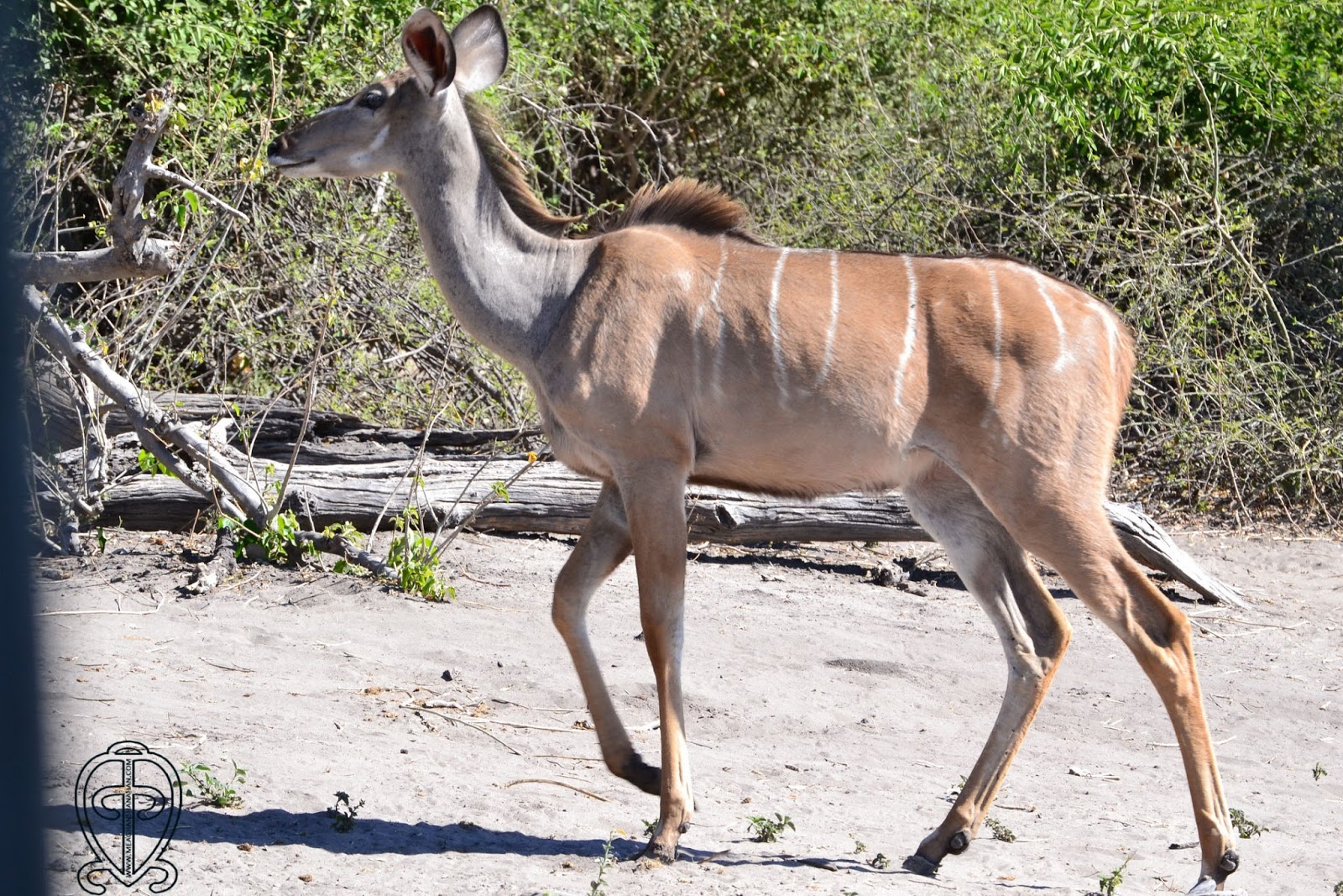 Meaghan the Mzungu: September 2014